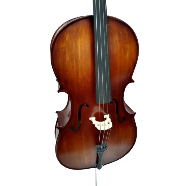 Hamburg Cello - Vienna Strings - 300 Years of European Sound Tradition ...